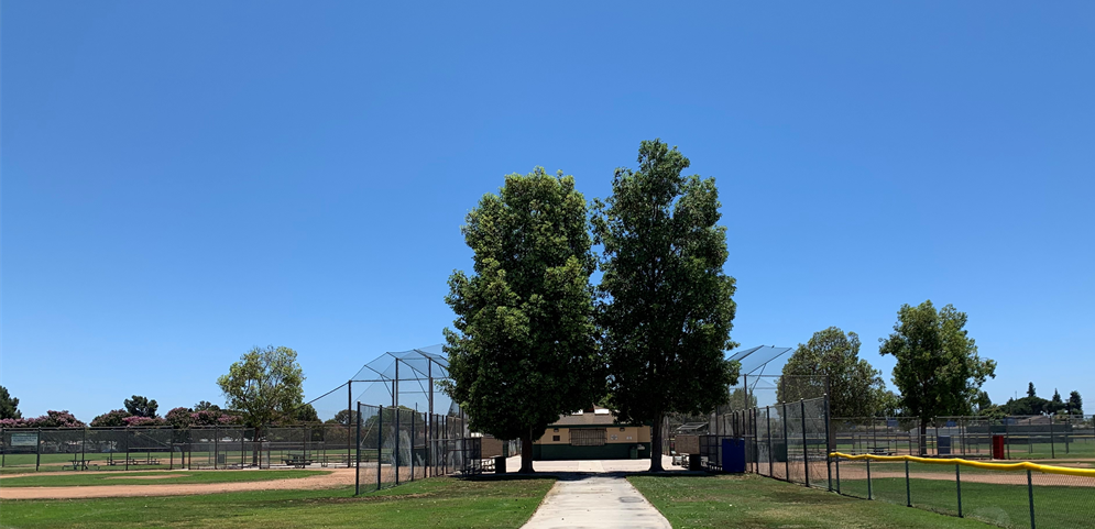Central Garden Grove Little League > Home